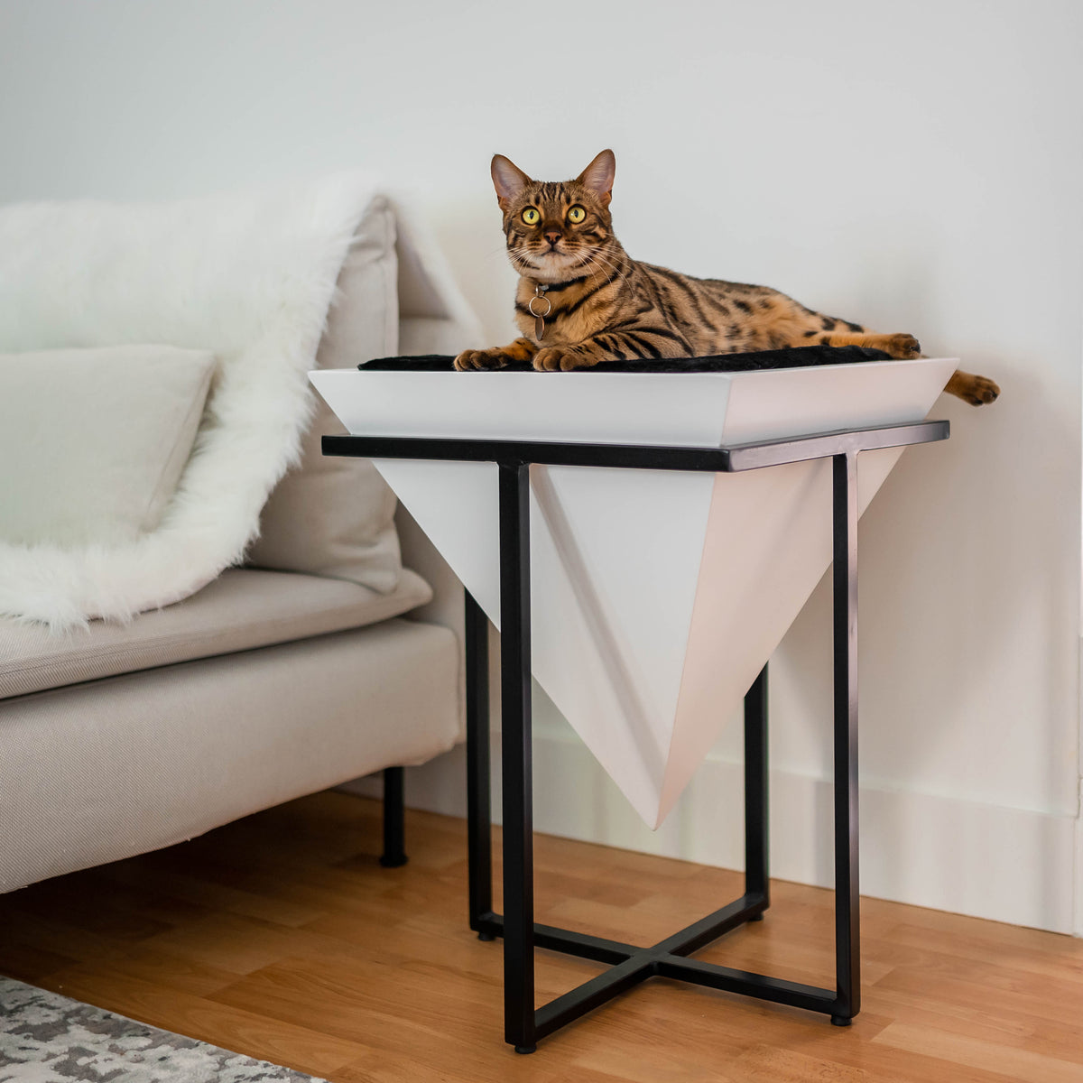 Pharaoh Elevated Cat Bed Pyramid Furniture — Shopango.com